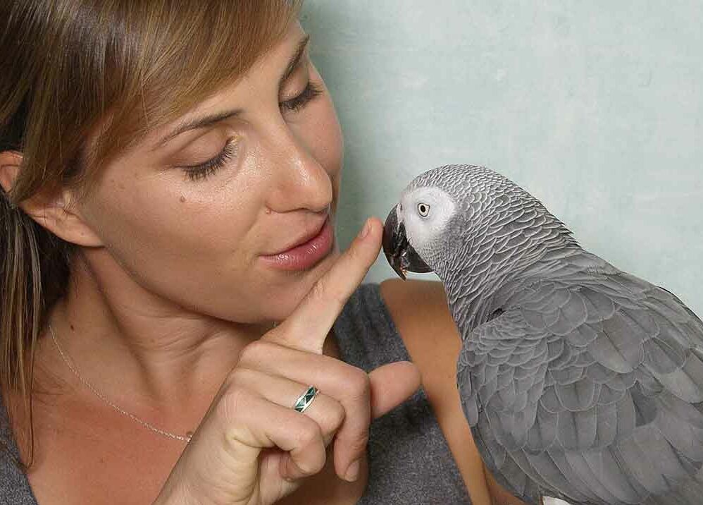 How to Decode Your Bird’s Body Language | myBird